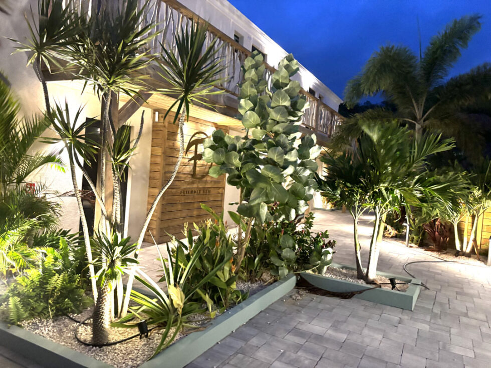 The Forest - The Forest